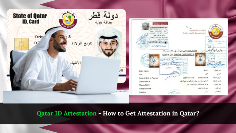 How to Read Your Qatar ID Number (QID)?